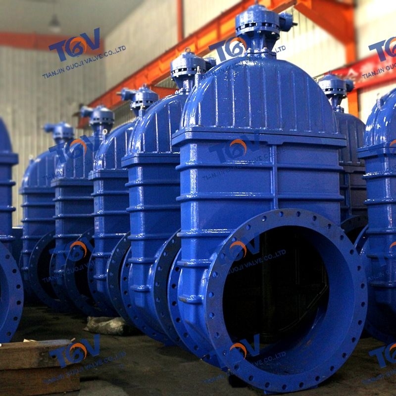 Big Size Gear Operated Resilient Gate Valve - Industrial Valves ...