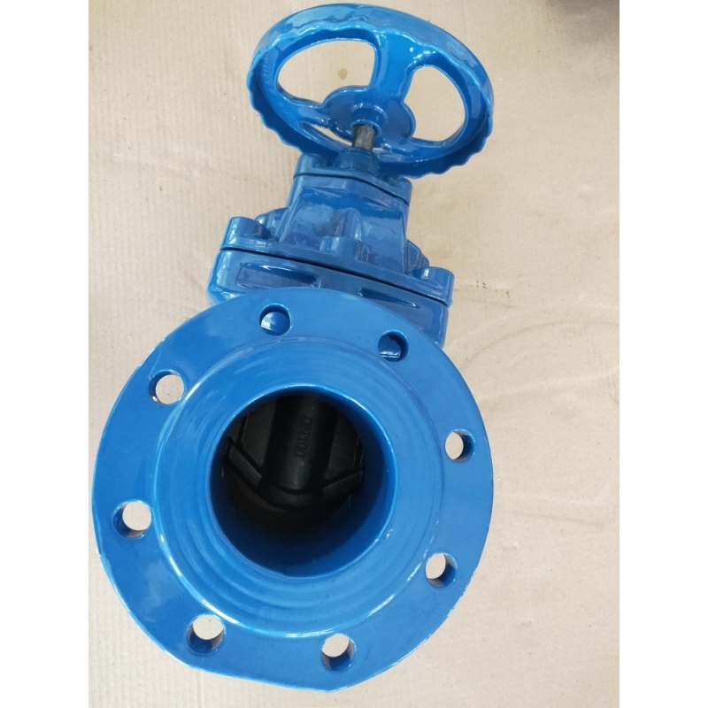 Resilient Gate Valve Non-Rising Stem(BS5163) - Industrial Valves ...