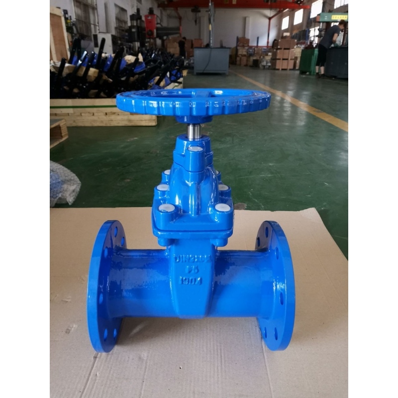 Resilient Seat Non-Rising Stem Gate Valve (DlIN F5) - Industrial Valves ...