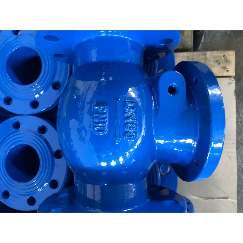 Swing Check Valve - Industrial Valves, Butterfly Valve, Check Valve, Gate Valve ｜ TGV Valves