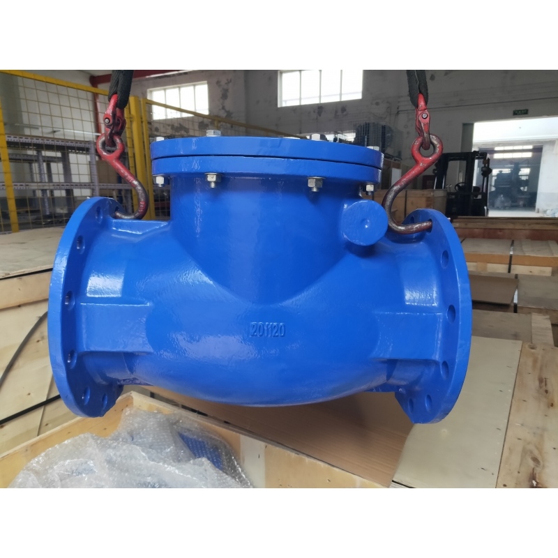 Swing Check Valve - Industrial Valves, Butterfly Valve, Check Valve, Gate Valve ｜ TGV Valves