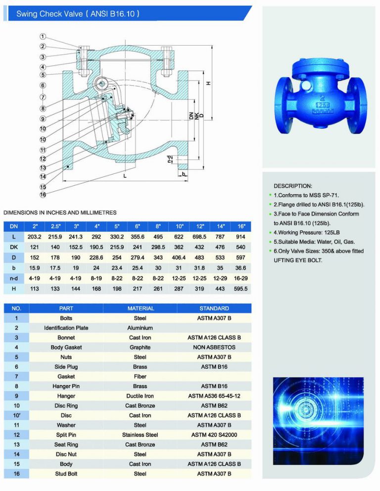 Swing Check Valve (ASME B16.10) - Industrial Valves, Butterfly Valve, Check Valve, Gate Valve ...