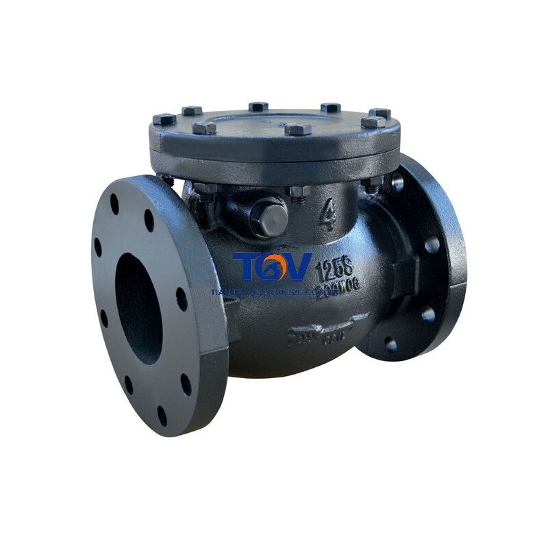Swing Check Valve (ASME B16.10) - Industrial Valves, Butterfly Valve, Check Valve, Gate Valve ...