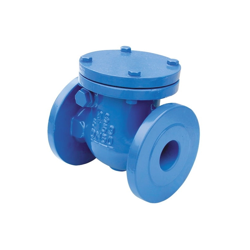 Swing Check Valve (BS5153) - Industrial Valves, Butterfly Valve, Check ...