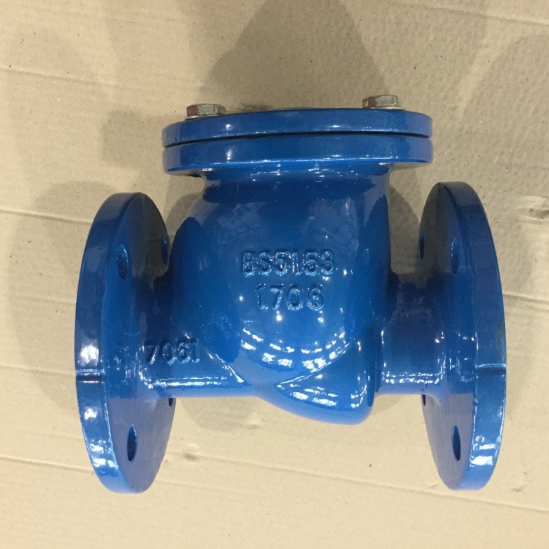 Swing Check Valve (BS5153) - Industrial Valves, Butterfly Valve, Check ...