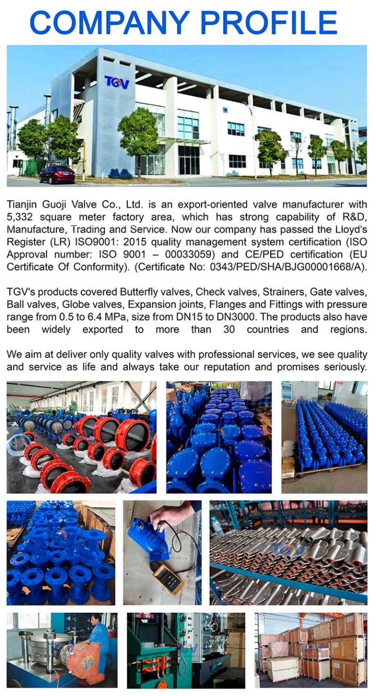 Cast Iron Wafer Universal Butterfly Valve - Industrial Valves ...